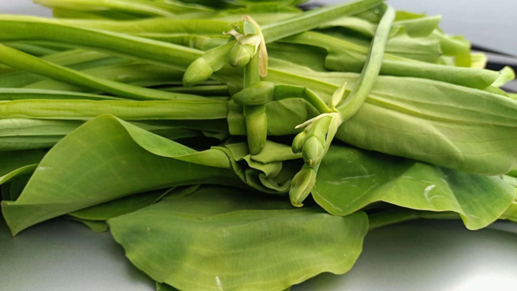 Manfaat Sayur Genjer: Sayuran Lokal dengan Nutrisi Tinggi dan Khasiat ...